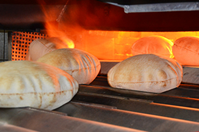 Alis Bageri - Salary